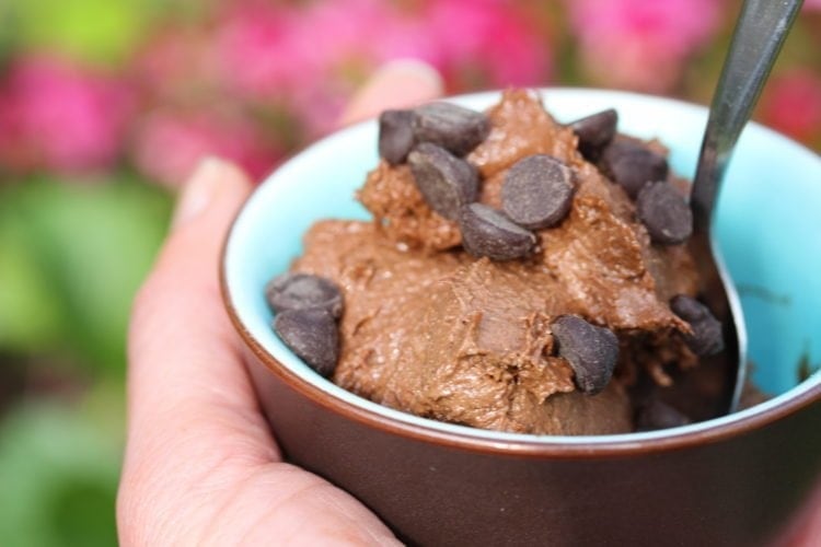 Low Sugar Ice Cream (Dairy Free Chocolate Ice Cream)